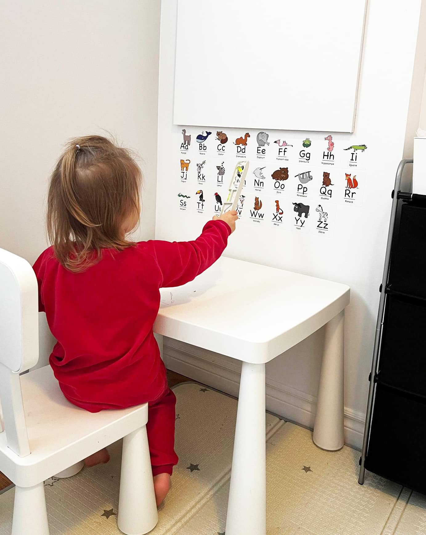 L'alphabet des animaux du monde - Illustrations Lémur